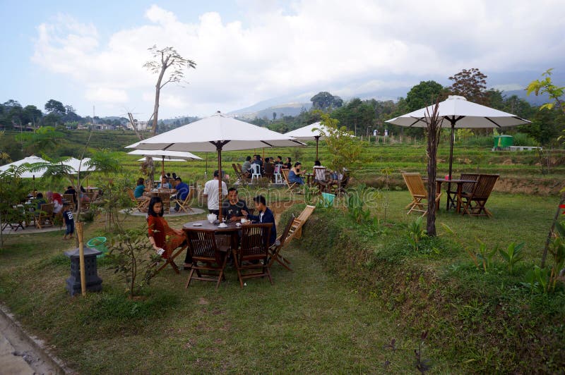 Restaurant editorial stock image. Image of restaurant - 58659314