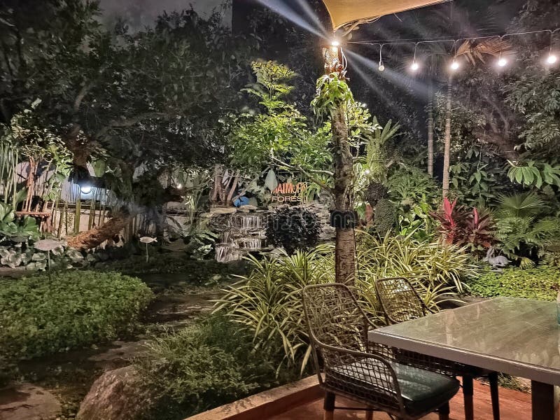 Restaurant in the Jungle stock image. Image of atlantic - 77322153