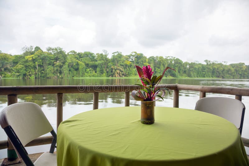 Restaurant Table with Empty Chairs in Nature Stock Image - Image of ...