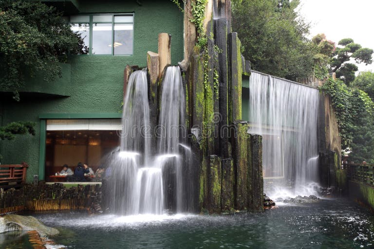 119 Money Tree Waterfall Stock Photos - Free & Royalty-Free Stock ...