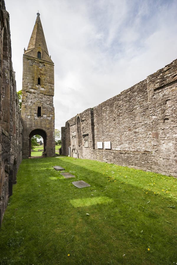 Forfar Stock Photos - Download 84 Royalty Free Photos