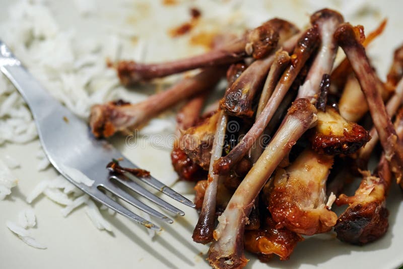 Restes De Nourriture De Plat Image stock - Image du camelote ...