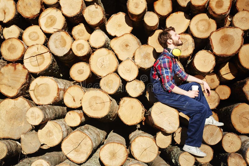 Restful tree-worker stock photo. Image of restful, profession - 91190104