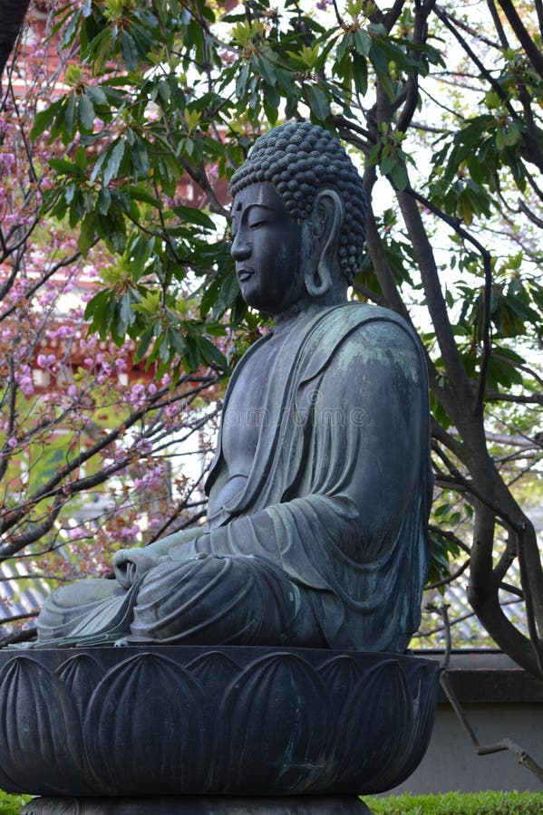 Resting buddha stock photo. Image of tree, spring, japan - 84393852
