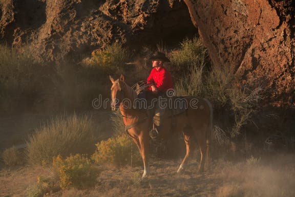 Resting Cowboy stock photo. Image of drive, tack, saddle - 12597290
