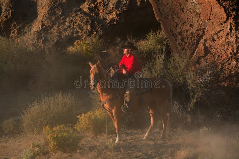 Resting Cowboy stock photo. Image of drive, tack, saddle - 12597290