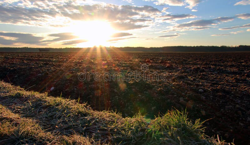 Bright Morning Sun on the Fields Stock Image - Image of environment ...