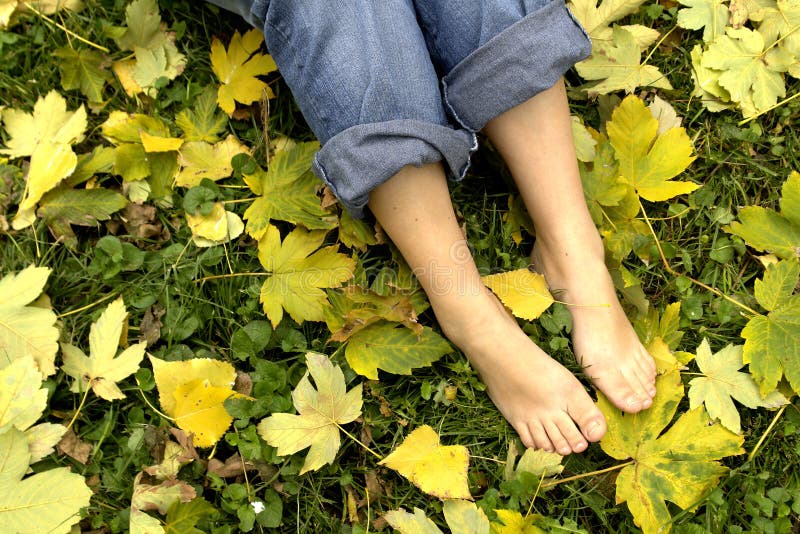 Resting Feet stock image. Image of trees, feet, leaf, foot - 3485615