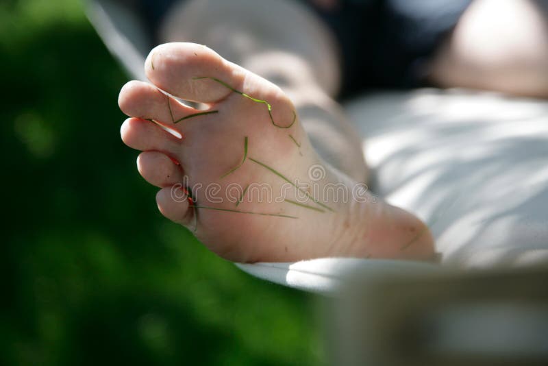 Resting feet stock image. Image of garden, sunlight, step - 4777027
