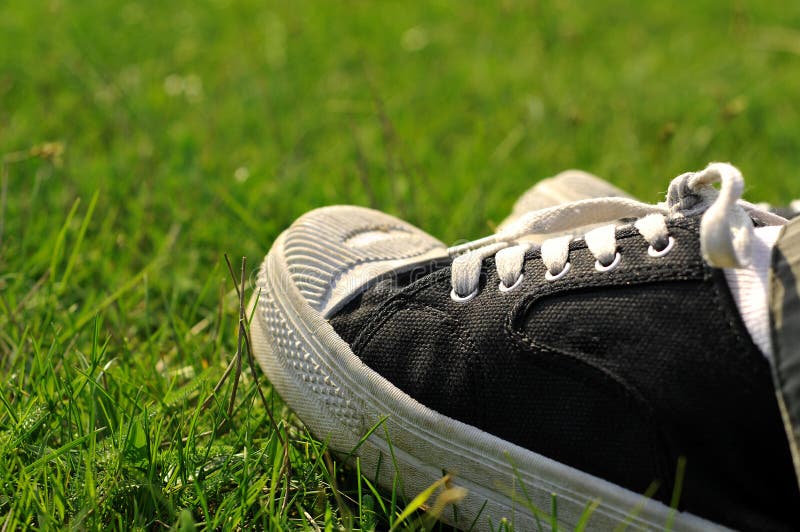 Feet stock image. Image of foot, aromatherapy, nail, fresh - 5514361