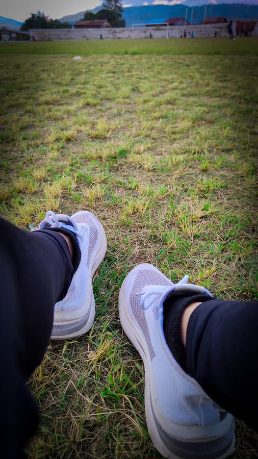 Rest in socer field stock photo. Image of bleachers - 308113862