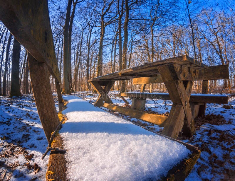 Resting after Hiking in the Snow Forest Stock Photo - Image of climate ...