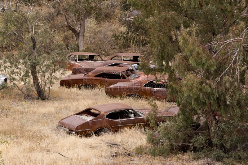 Resting legends stock photo. Image of resting, nature - 55486980