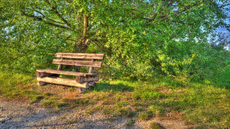 Resting in nature stock photo. Image of tree, grass, relax - 35630254