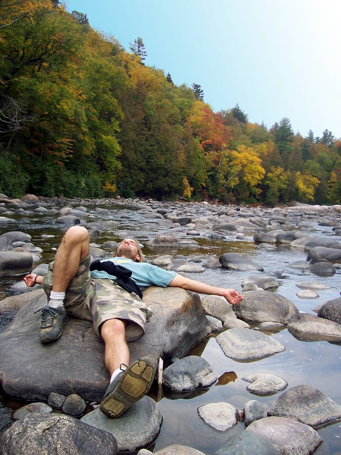 Resting Place stock photo. Image of season, forest, slippery - 4216162