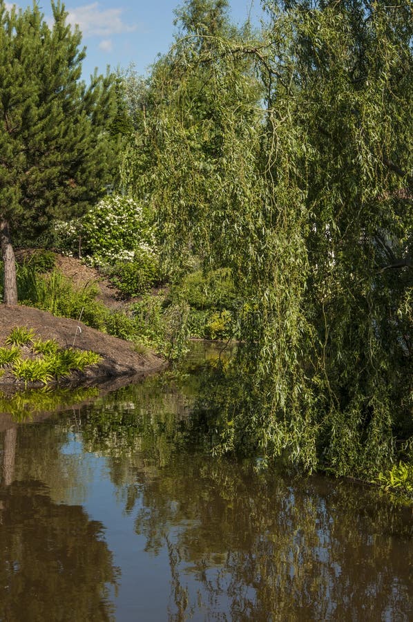Resting Place with Benches at Lake Shore in Summer Sunny Day Stock ...