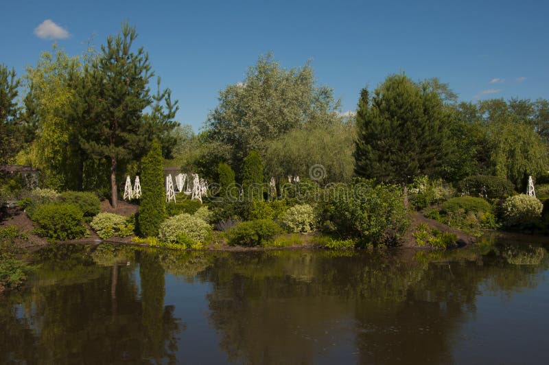 Resting Place with Benches at Lake Shore in Summer Sunny Day Stock ...