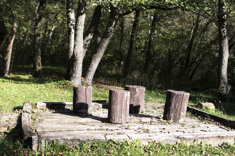 Resting Place in the Forest Stock Image - Image of environment ...