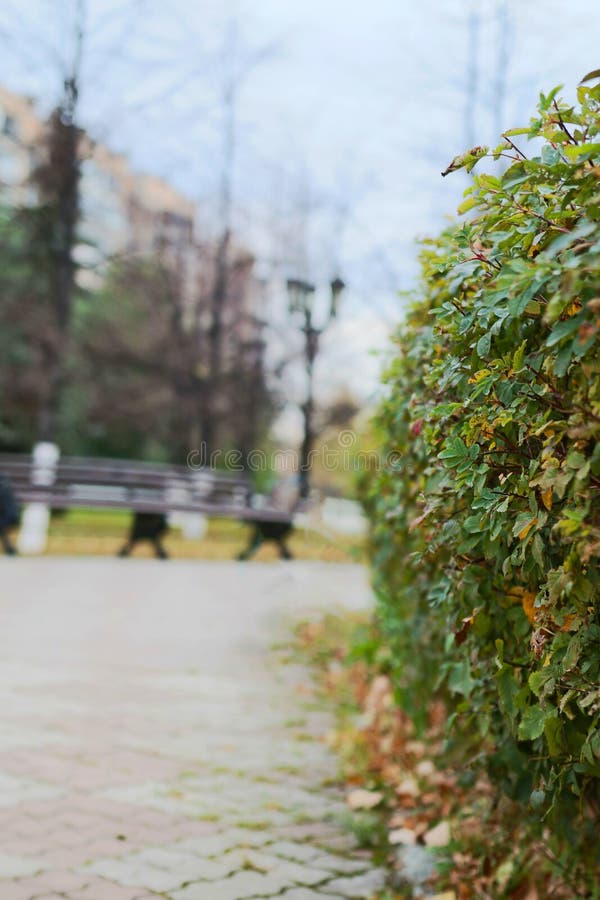 Resting Place in Front of a Multi-storey Building Stock Photo - Image ...