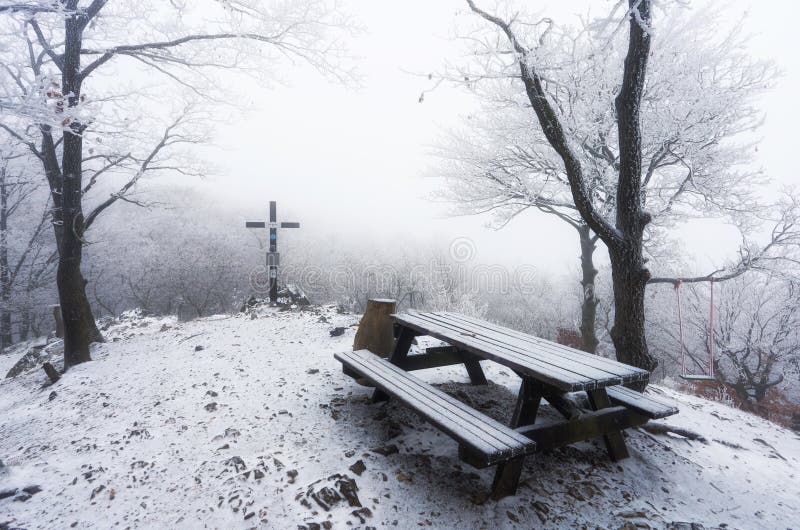 Resting Place in the Frozen Forest at Mist in Winter Stock Image ...