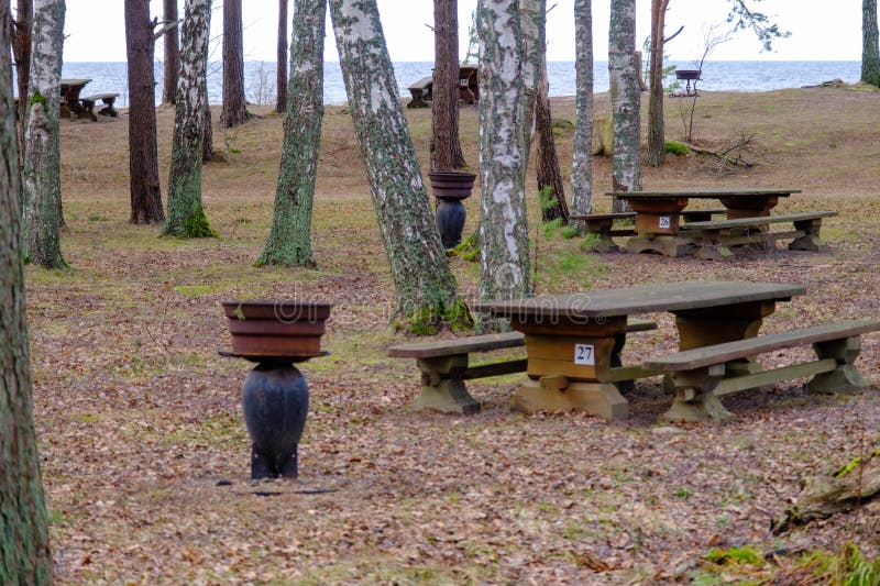 A Resting Place with a Wooden Table and Benches among the Trees Stock ...