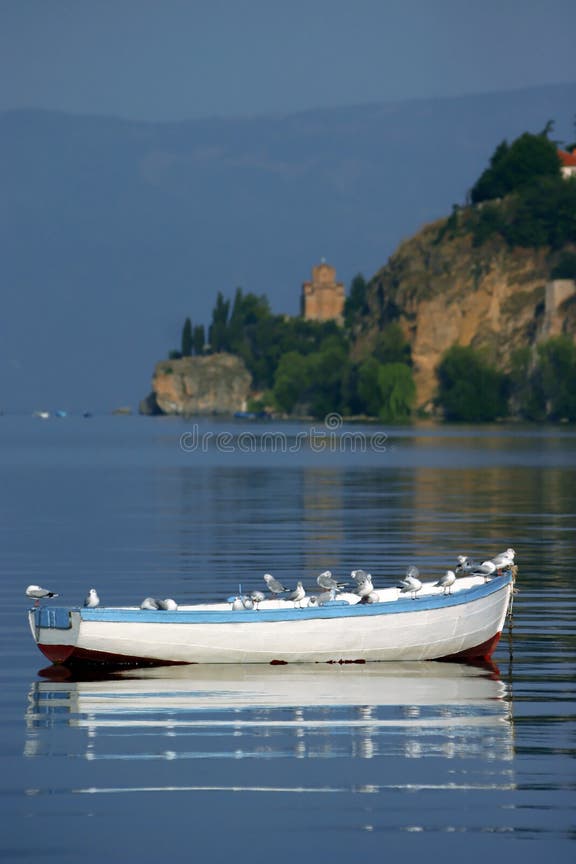 Resting seagulls stock photo. Image of wave, pond, blue - 1682272