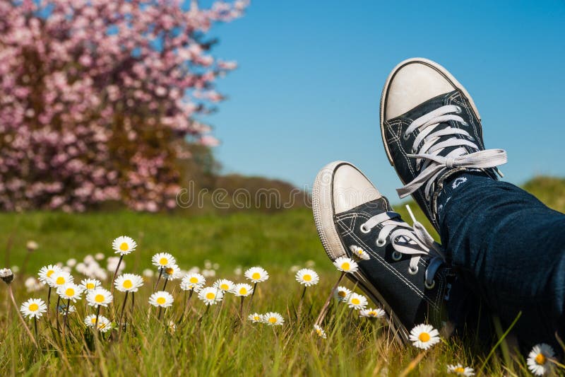 Resting in a Springtime Field Stock Photo - Image of outdoor, tranquil ...