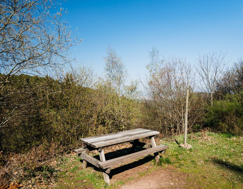 Resting Table Chair in Forest Stock Photo - Image of grass, outdoors ...