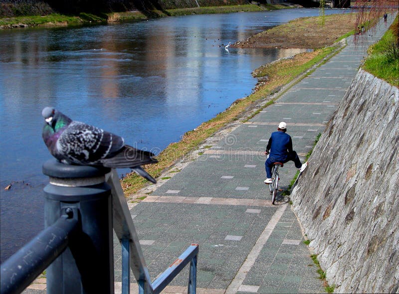 Resting time editorial image. Image of documentary, nature - 15785