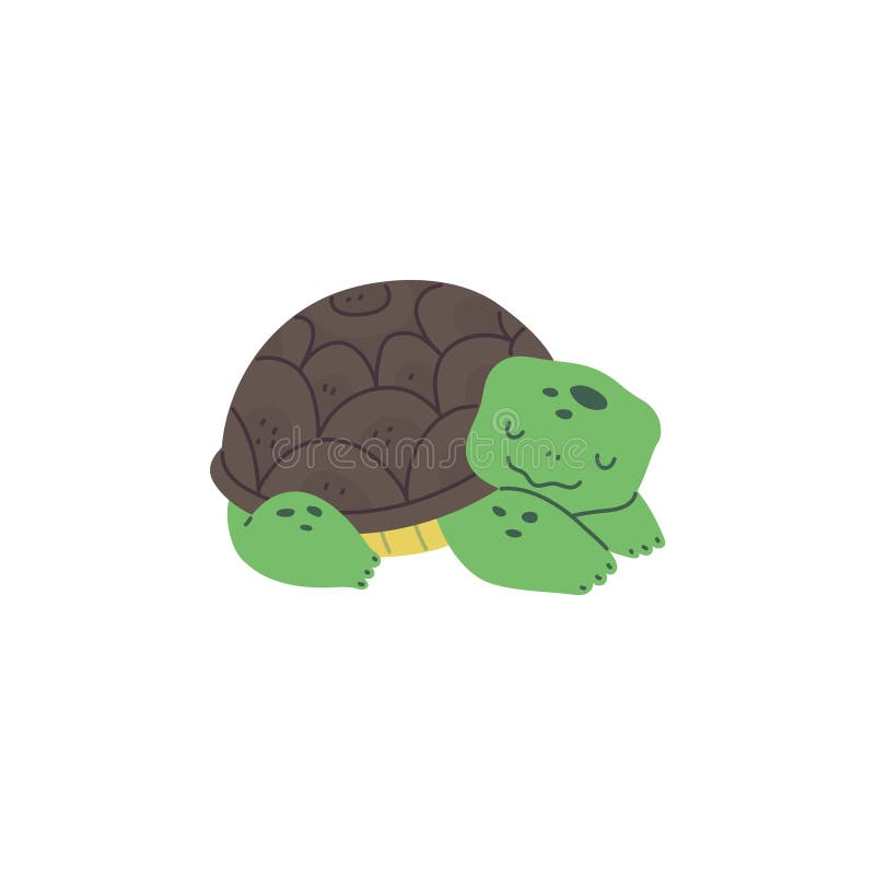 Resting Turtle Minimalist Vector Illustration Stock Vector ...