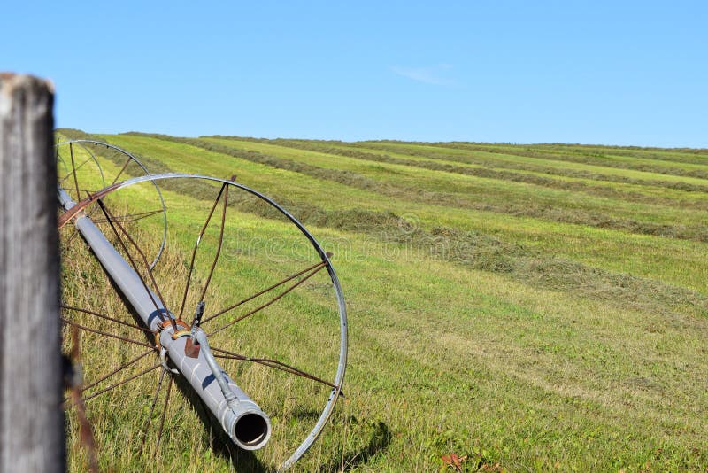898 Fresh Cut Hay Field Stock Photos - Free & Royalty-Free Stock Photos ...