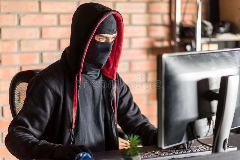 Restrained Computer Burglar Robbing Information Stock Photo - Image of ...