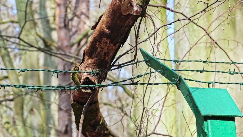 Restricted Access Area with Turnstile One Way Pedestrian Security Gate ...