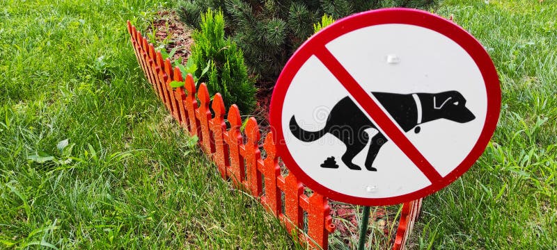 Restricted area for a dogs stock photo. Image of information - 225835874