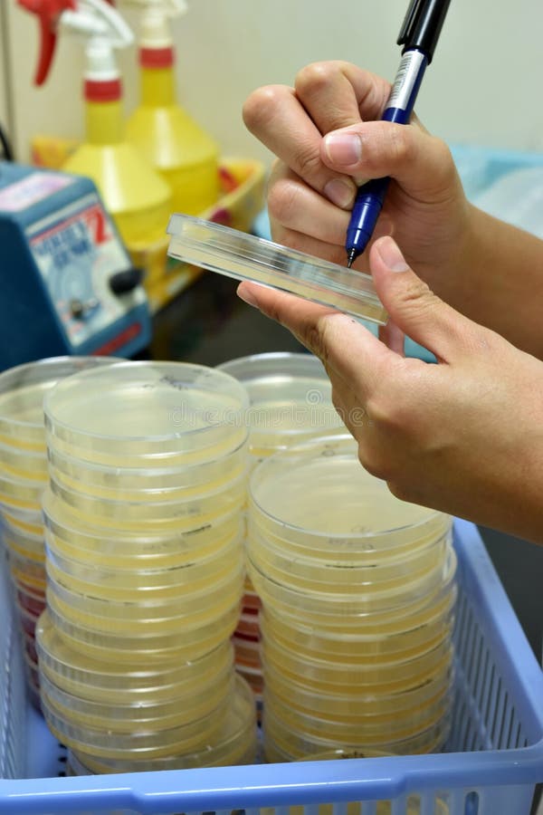 Results of Experiments a Recording in Laboratory. Stock Image - Image ...