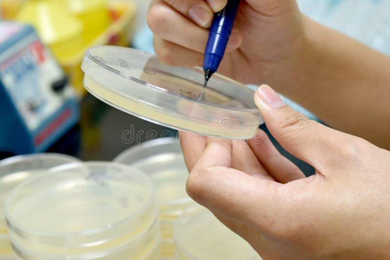 Results of Experiments a Recording of Test in Laboratory. Stock Image ...