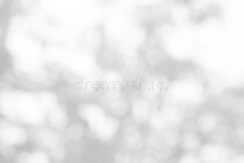 Resumo Branco Do Desfoque Para Fundo Foto de Stock - Imagem de fundo ...