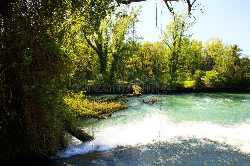 Timavo river resurgences stock photo. Image of century - 253559032