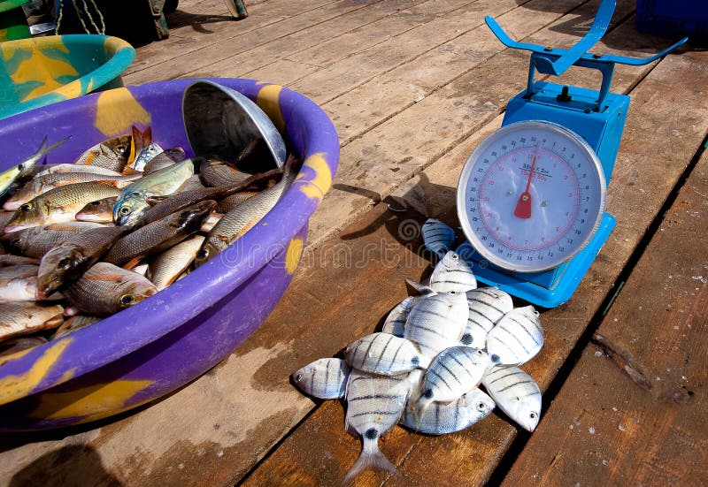 Retén del día foto de archivo. Imagen de coma, negocio - 14909546