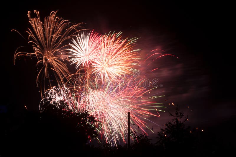 Colorful Fireworks between Trees Silhouettes Stock Image - Image of ...