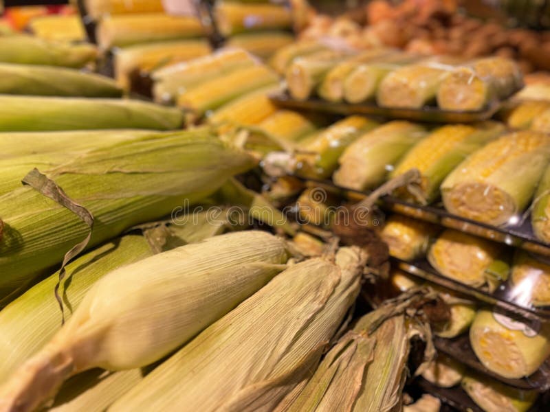 Retail Store Raw Corn Table Display Stock Image - Image of green ...