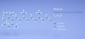 Retinal, Molecular Structures, Polyene Chromophore, 3d Model ...