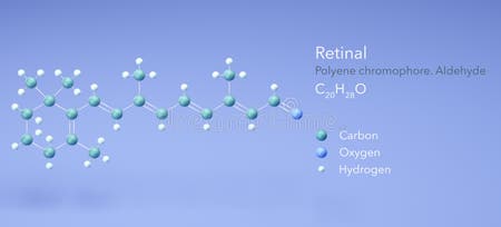 Retinal, Molecular Structures, Polyene Chromophore, 3d Model ...