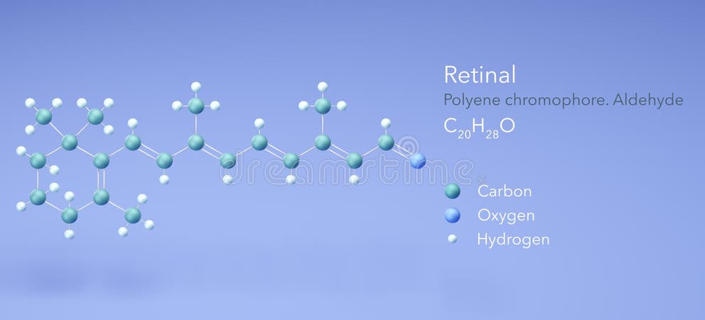 Retinal, Molecular Structures, Polyene Chromophore, 3d Model ...