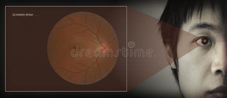 Retinal Scan stock image. Image of health, ophthalmologist - 5549367