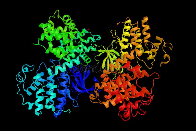 Retinoblastoma Protein, a Tumor Suppressor Protein that is ...