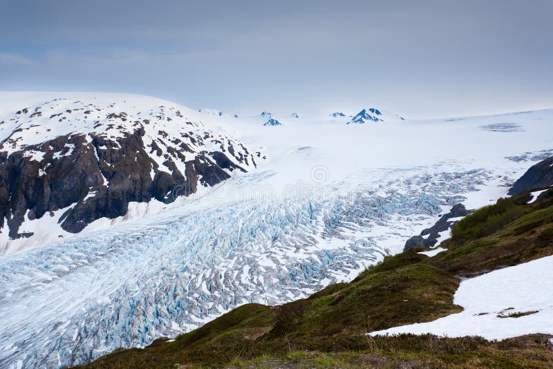 Retire a Geleira, Campo De Gelo De Harding, Fiordes Parque Nacional De ...