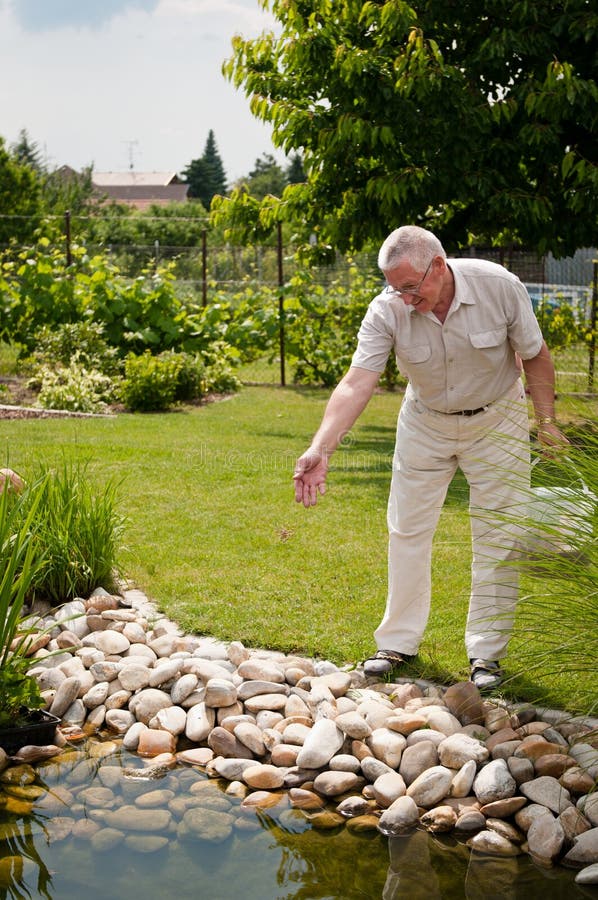 Retirement - feeding fish stock image. Image of plants - 22908941