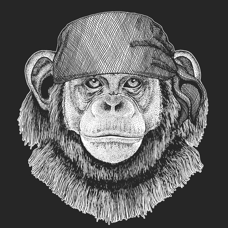 Chimpancé, Retrato Casco De Cuero Para Motocicletas De época Cara De ...