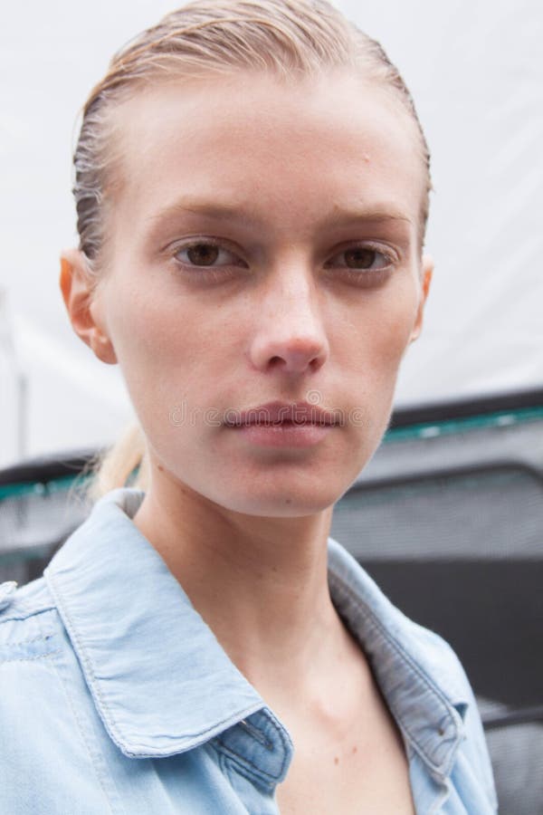 Retrato De Sigrid Agren Beauty Del Modelo De Moda Imagen de archivo ...